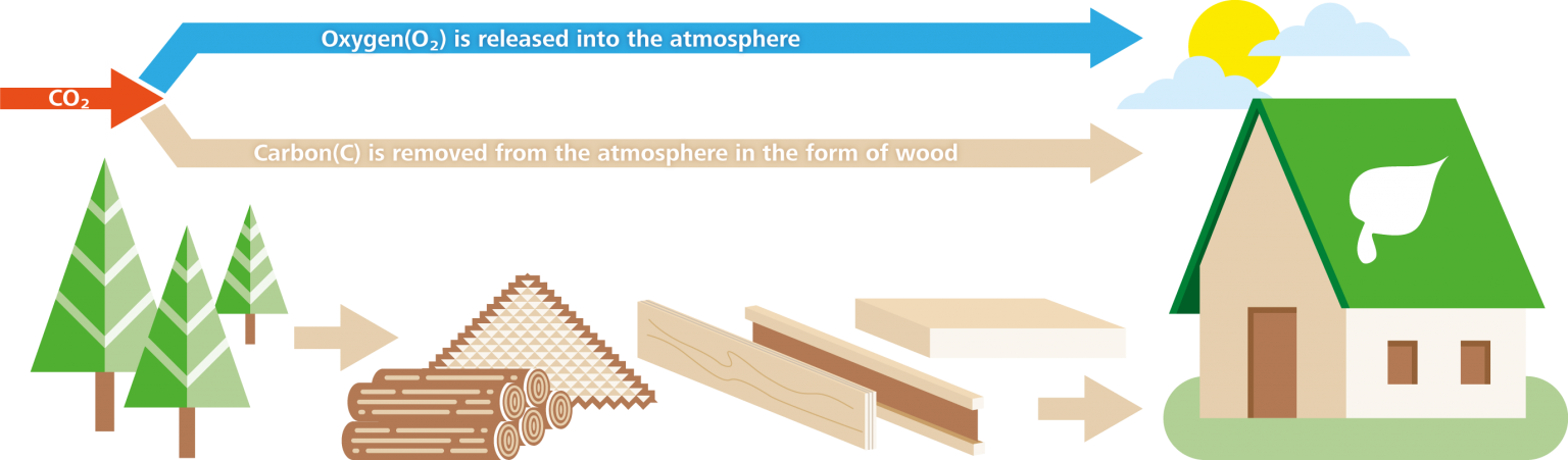 The advantages of timber in construction: environment - Beyond Zero Homes
